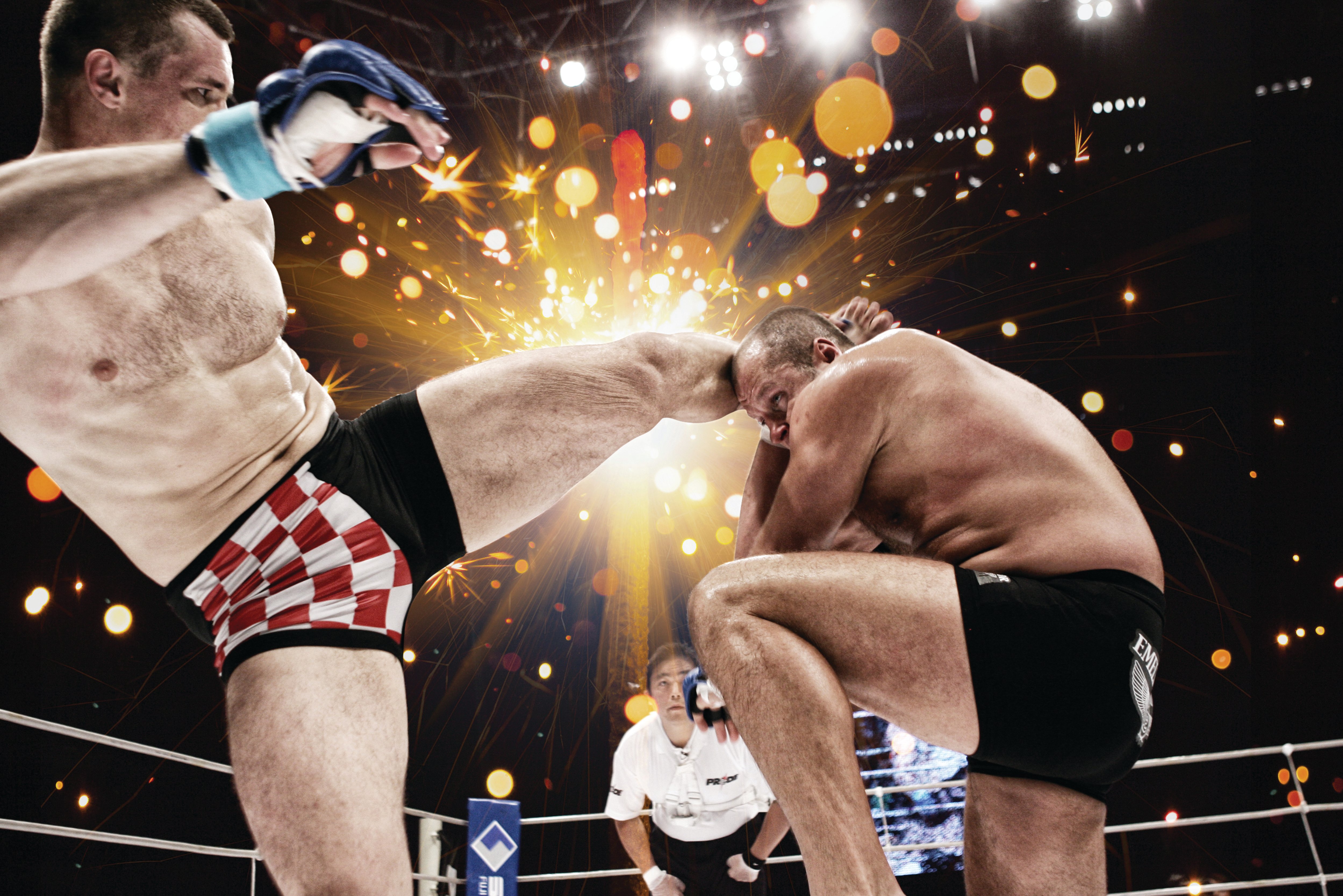 Fighters Only : Pride: never die